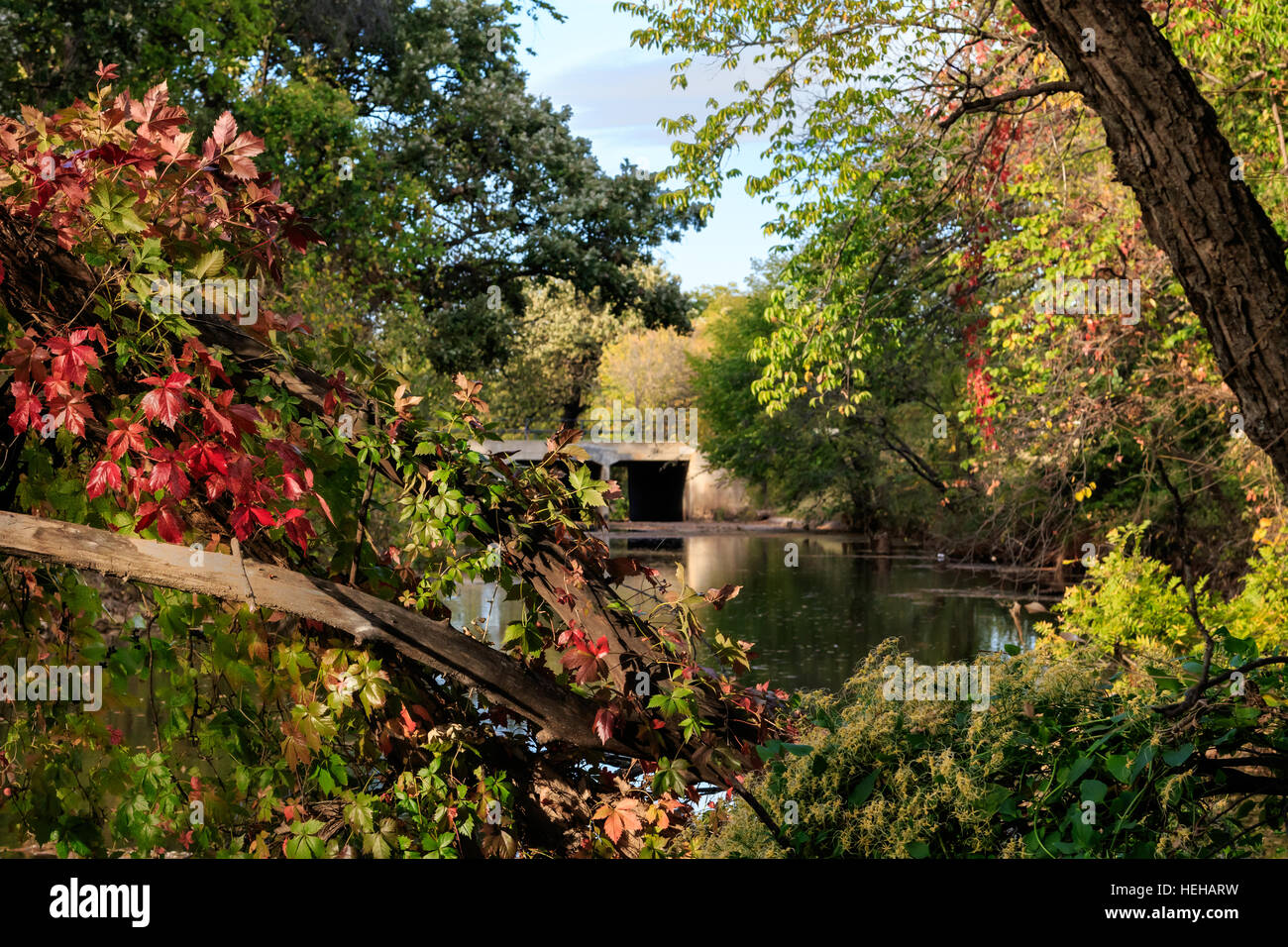 Red river oklahoma forest hi-res stock photography and images - Alamy