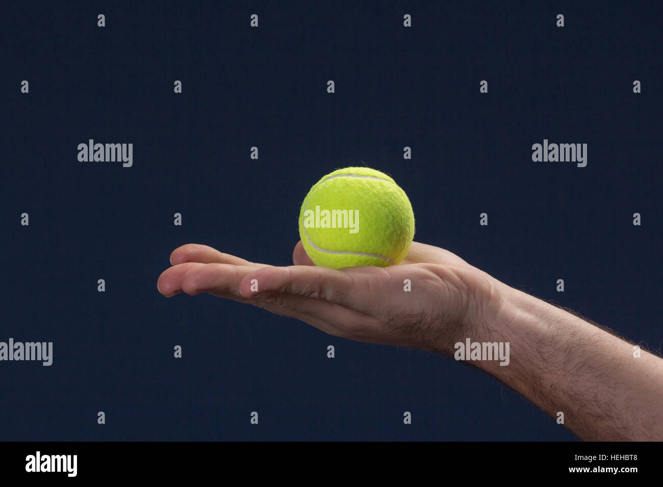 Hand hold Tennis ball on blue background Stock Photo - Alamy
