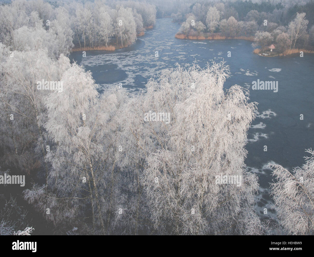 Aerial view of the winter background with a snow-covered forest and ...