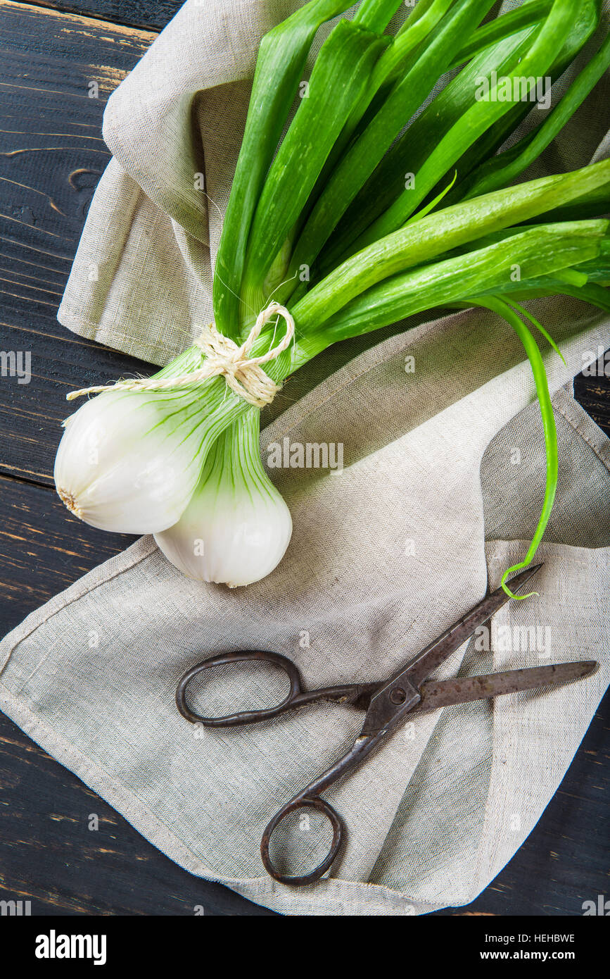 Bunch Of Leeks Studio High Resolution Stock Photography and Images - Alamy