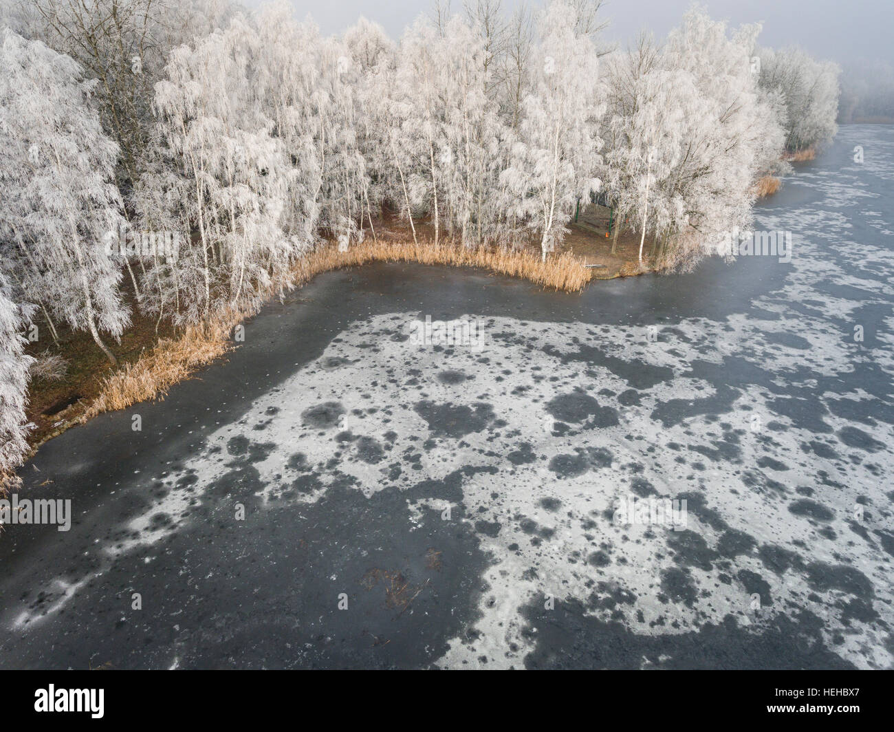 Aerial view of the winter background with a snow-covered forest and ...
