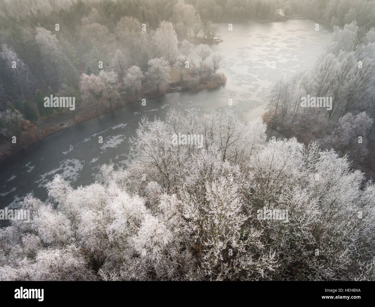 Aerial view of the winter background with a snow-covered forest and ...