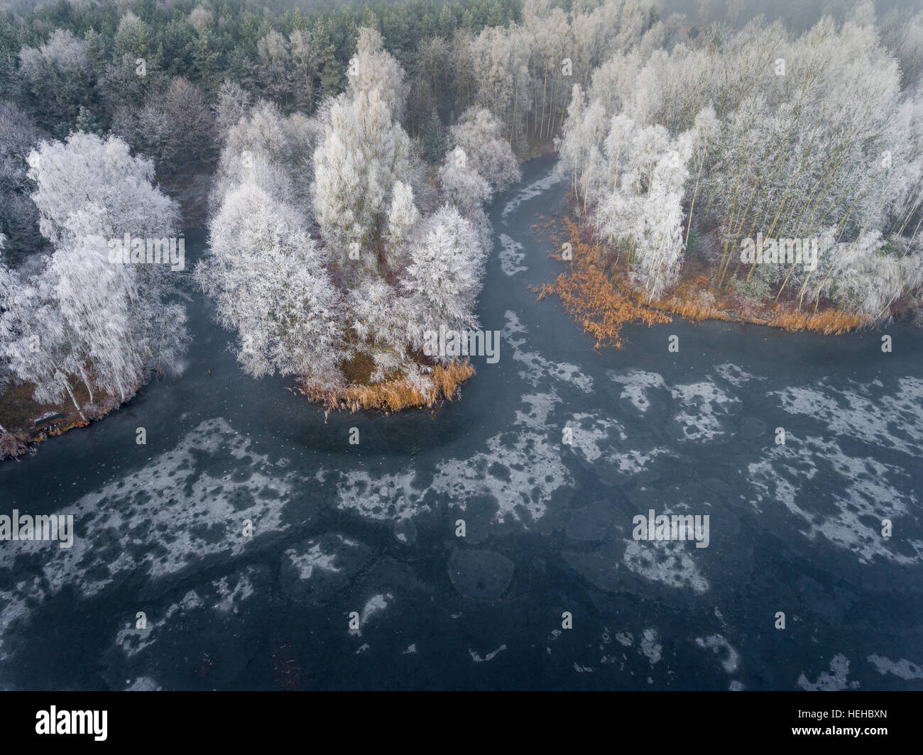 Aerial view of the winter background with a snow-covered forest and ...