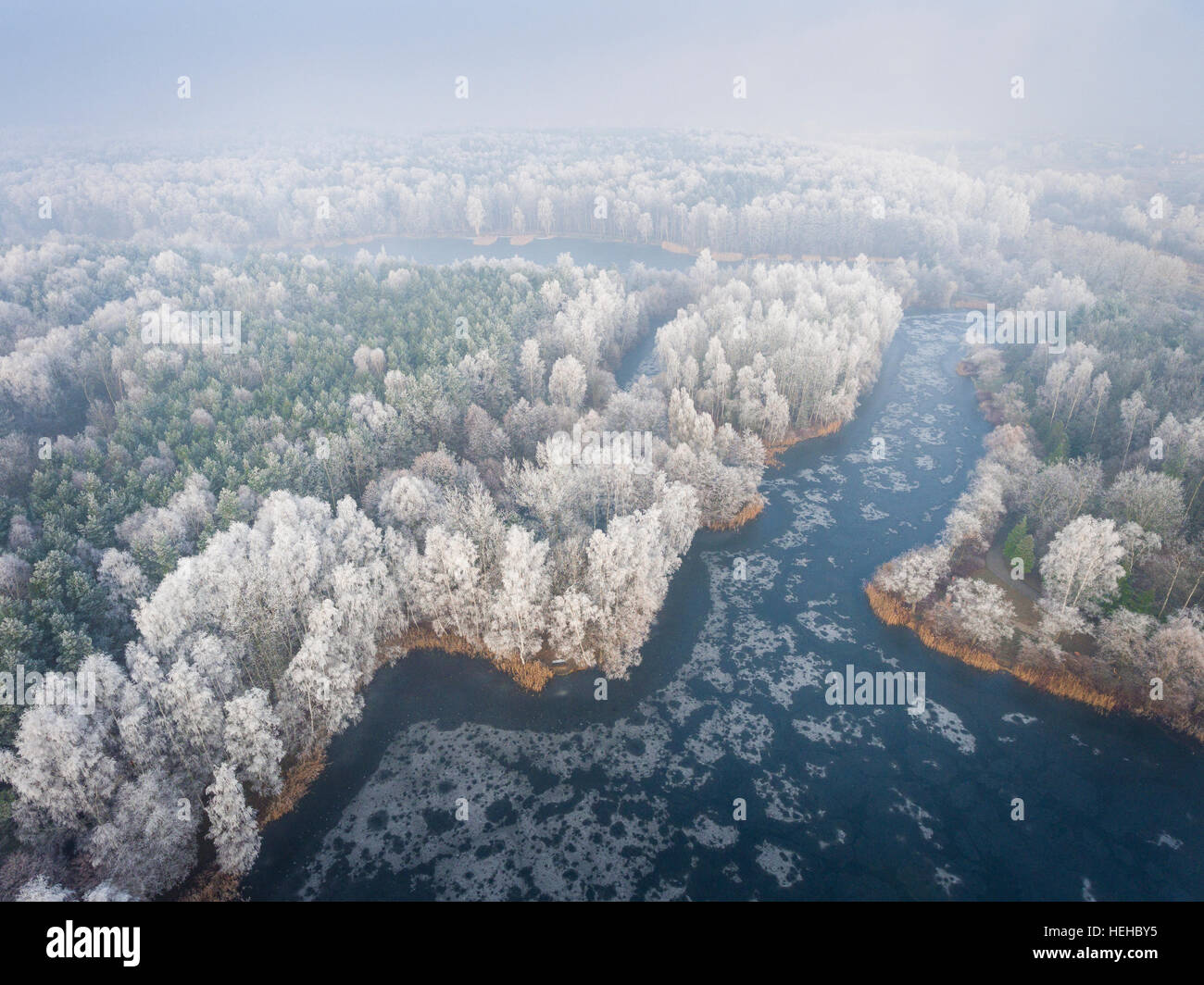 Aerial view of the winter background with a snow-covered forest and ...