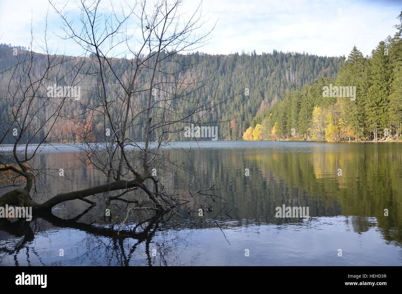 A lake in the remote Czech forest Stock Photo - Alamy