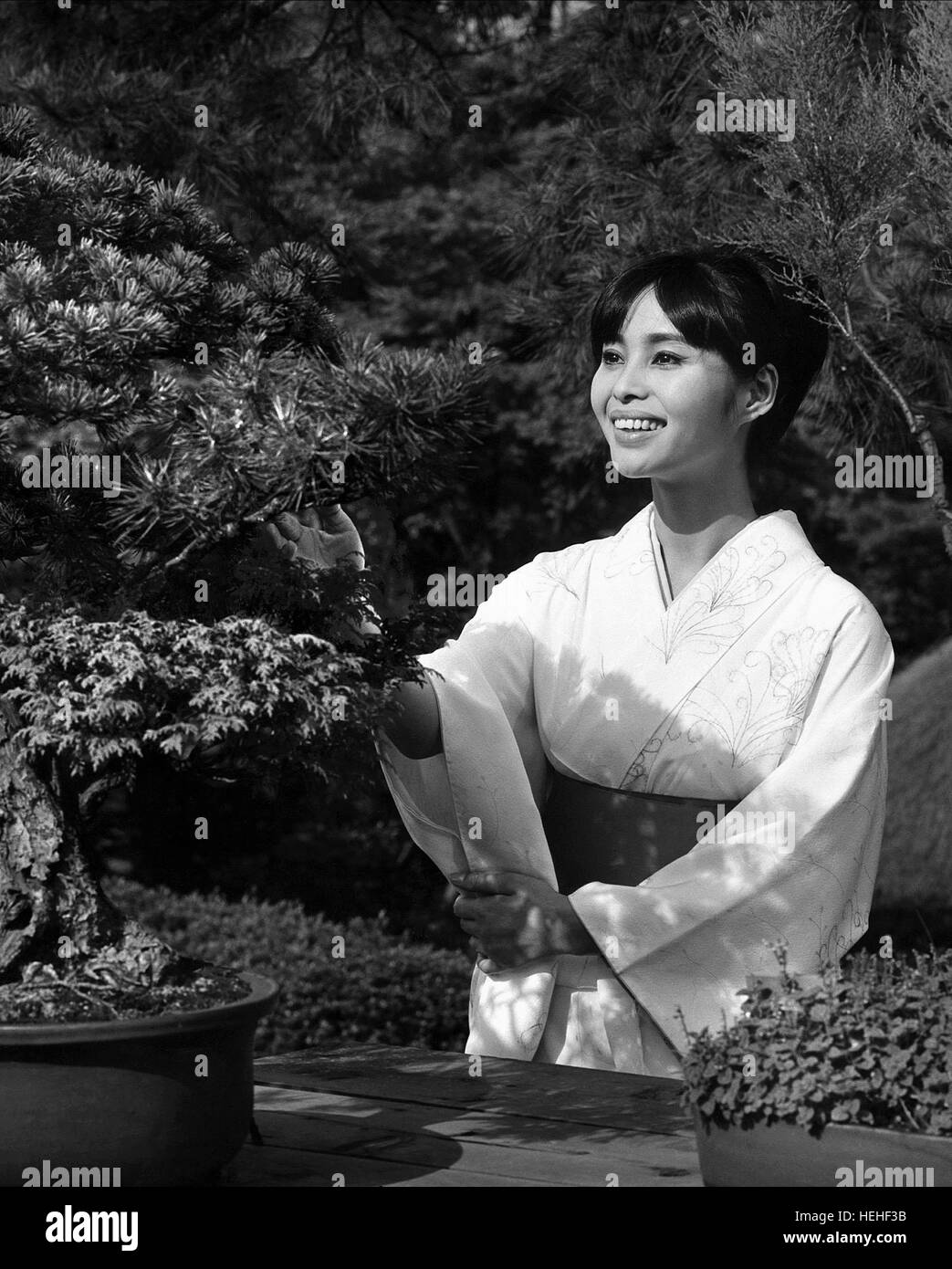 Akiko High Resolution Stock Photography and Images - Alamy