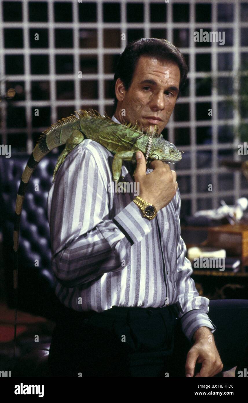 Iguana Category High Resolution Stock Photography and Images - Alamy