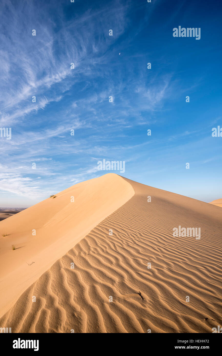 Desert dune in a vertical frame with clouds and a half moon, with copy ...