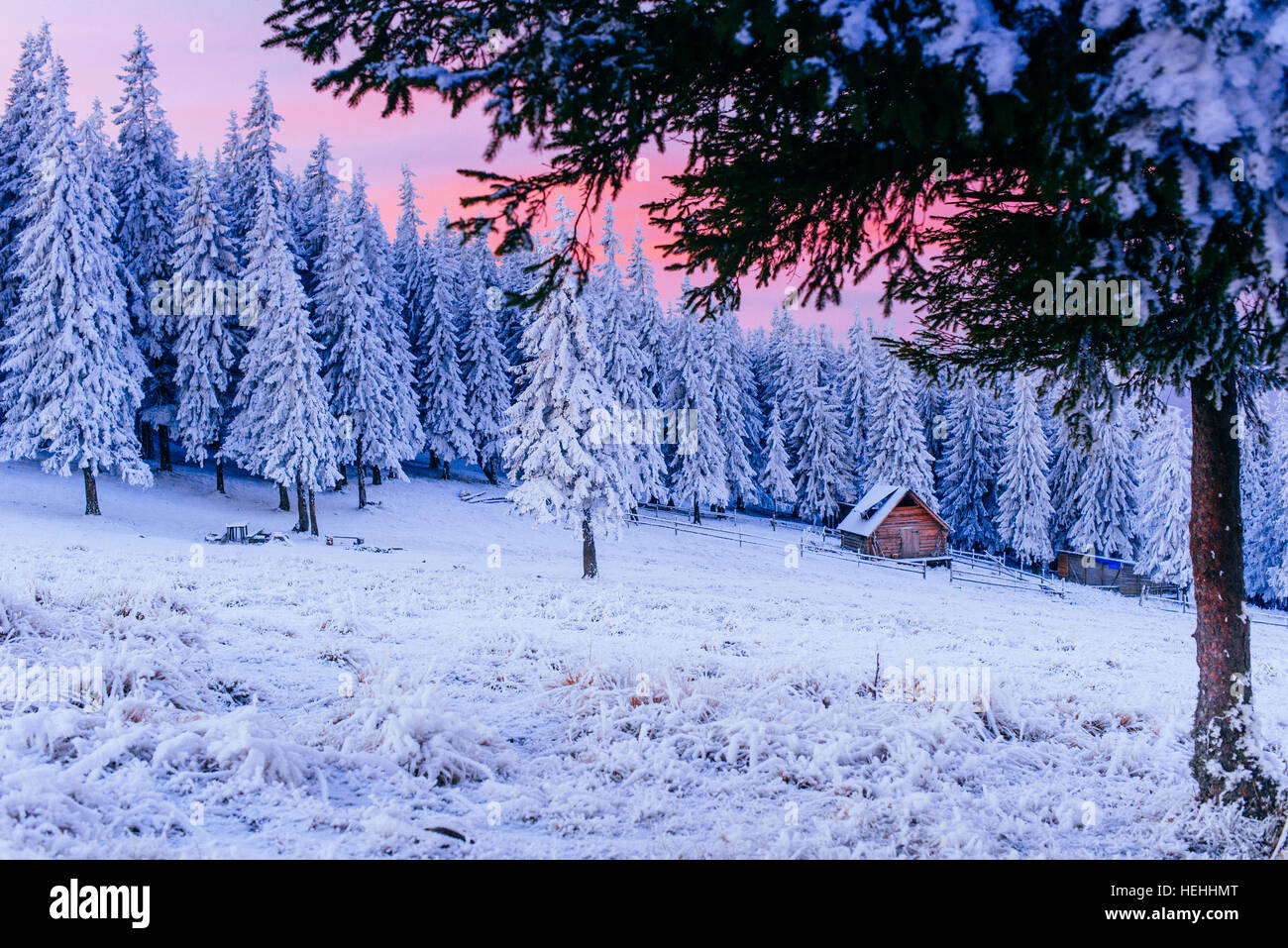 winter landscape trees in frost Stock Photo - Alamy