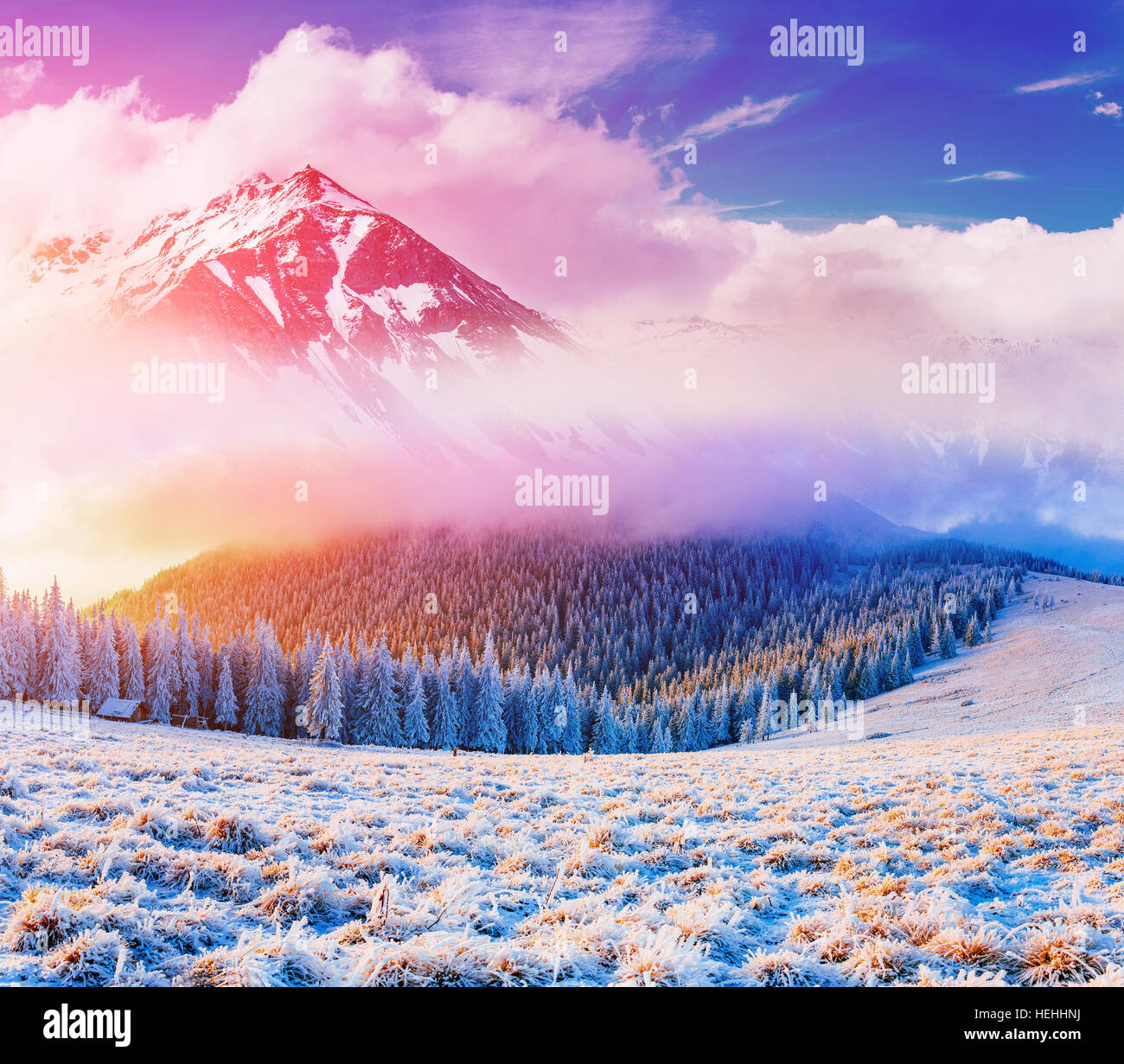 wonderful winter landscape Stock Photo - Alamy