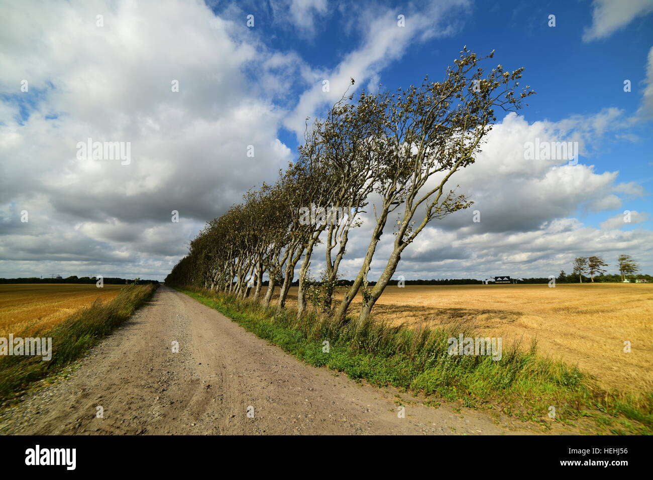 Windy rural Denmark Stock Photo - Alamy