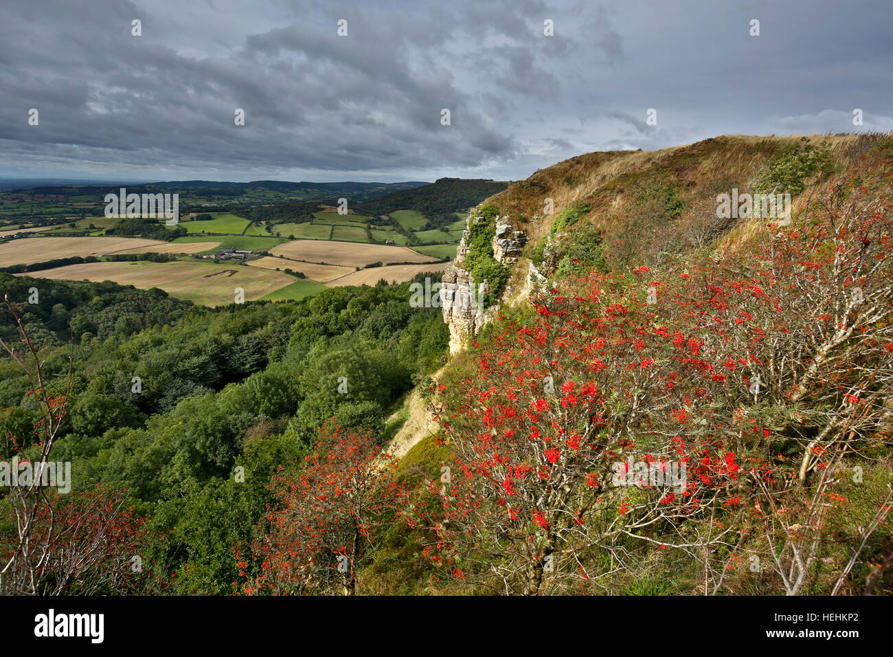 Sutton bank yorkshire autumn hi-res stock photography and images - Alamy