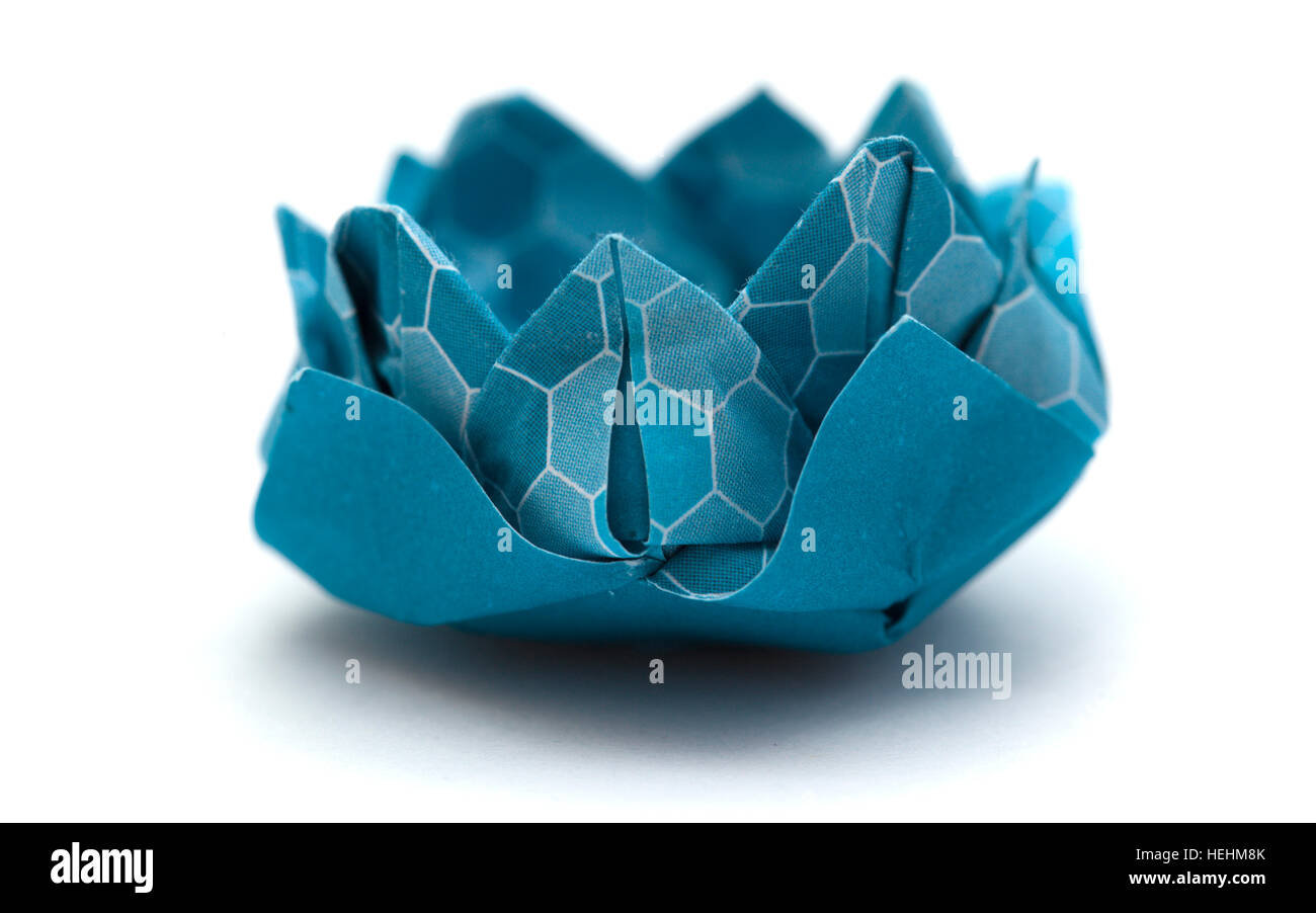 Nymphaea lotos Cut Out Stock Images & Pictures - Alamy