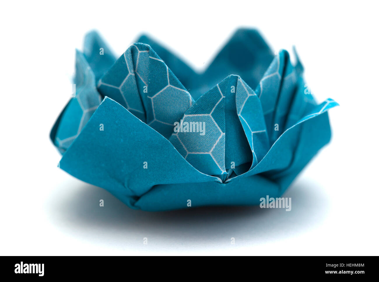 Lotus water lily nymphaea Cut Out Stock Images & Pictures - Alamy