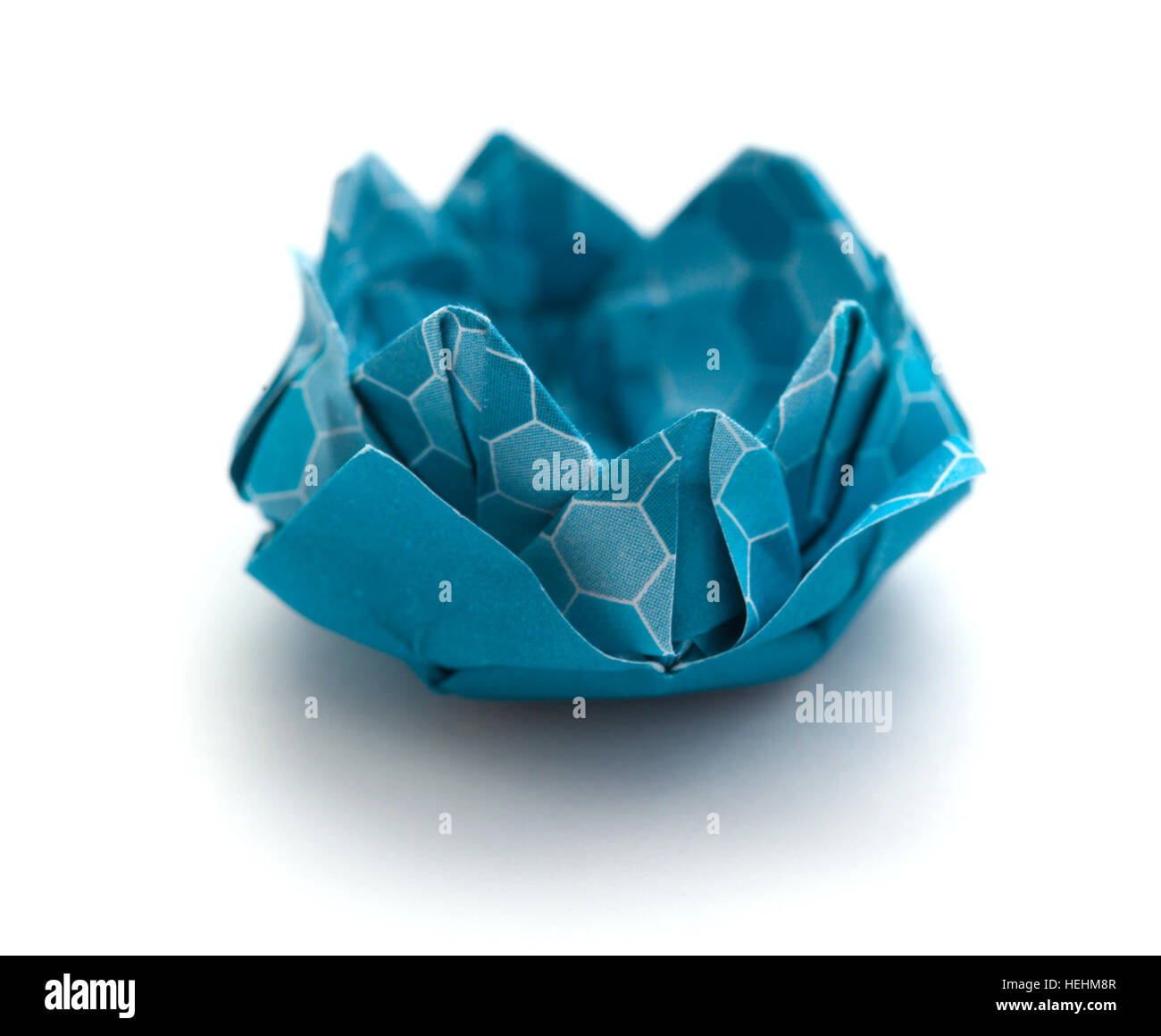 Nymphaea lotos Cut Out Stock Images & Pictures - Alamy