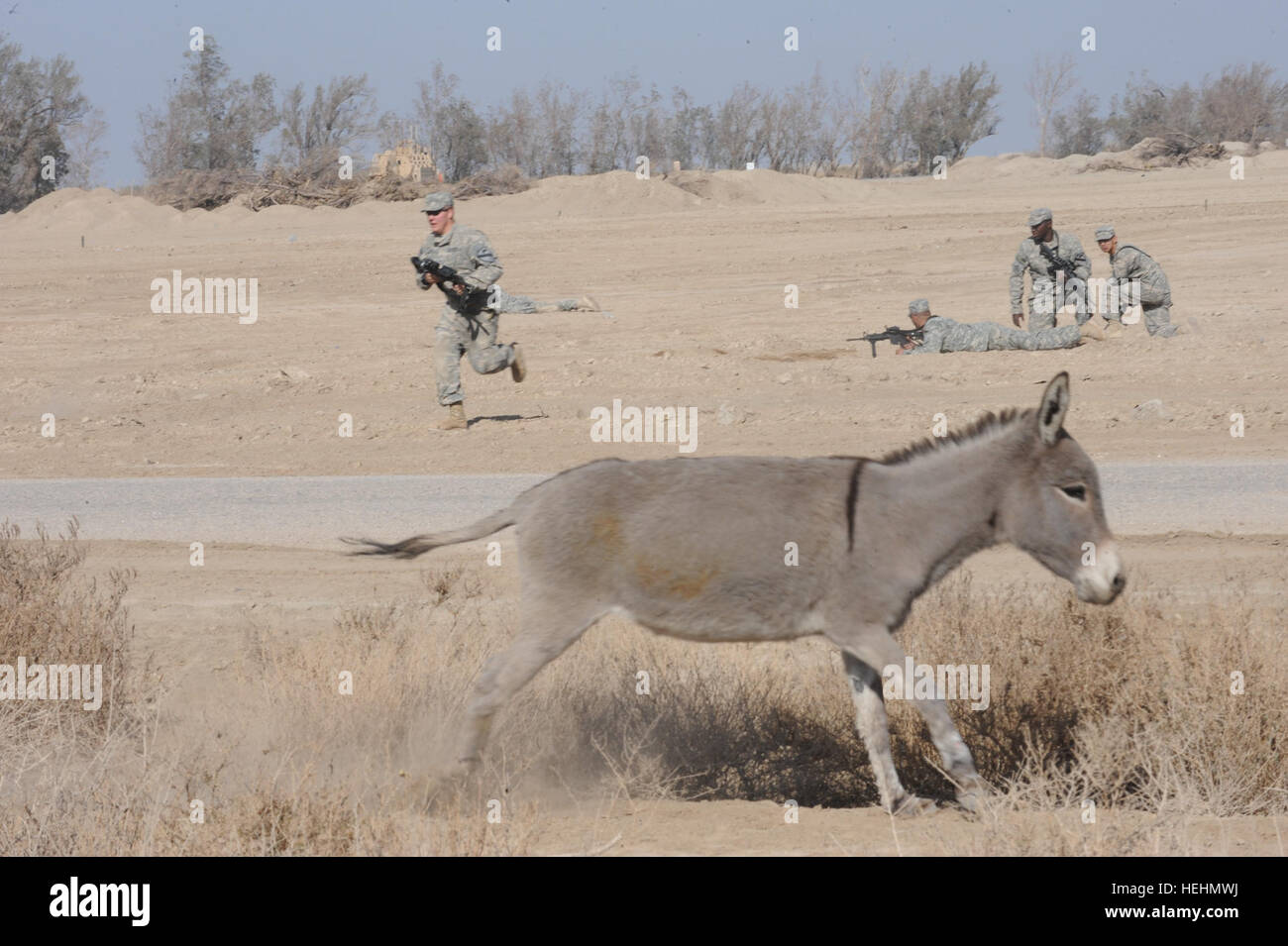The U.S. Army Scouts of Headquarters Company, 2nd Battalion, 12th ...