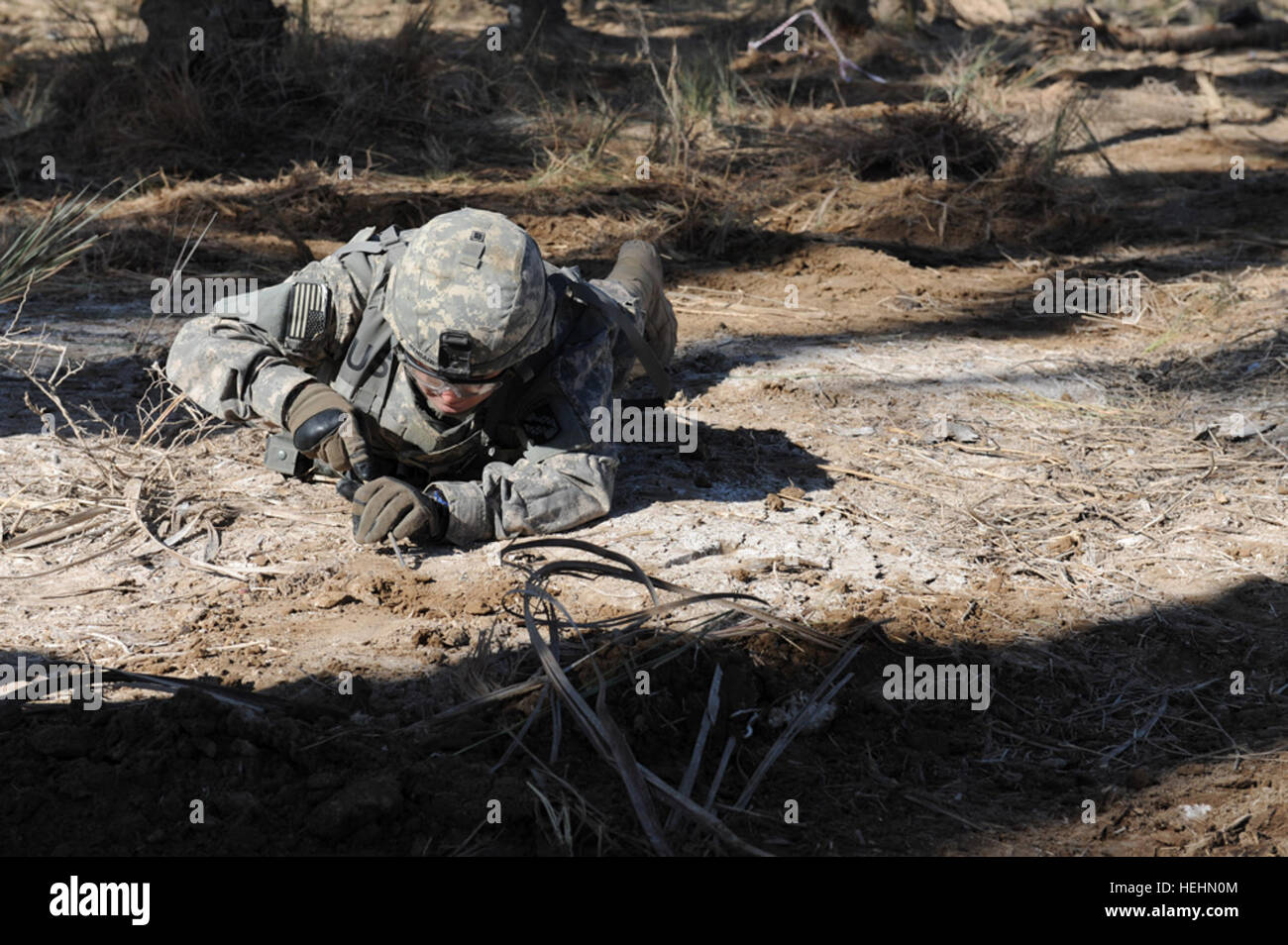 U.S. Army engineers sweep a palm grove for mines while supporting units ...
