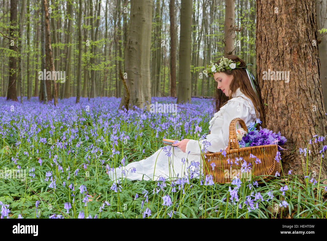 Victorian wildflowers hi-res stock photography and images - Alamy