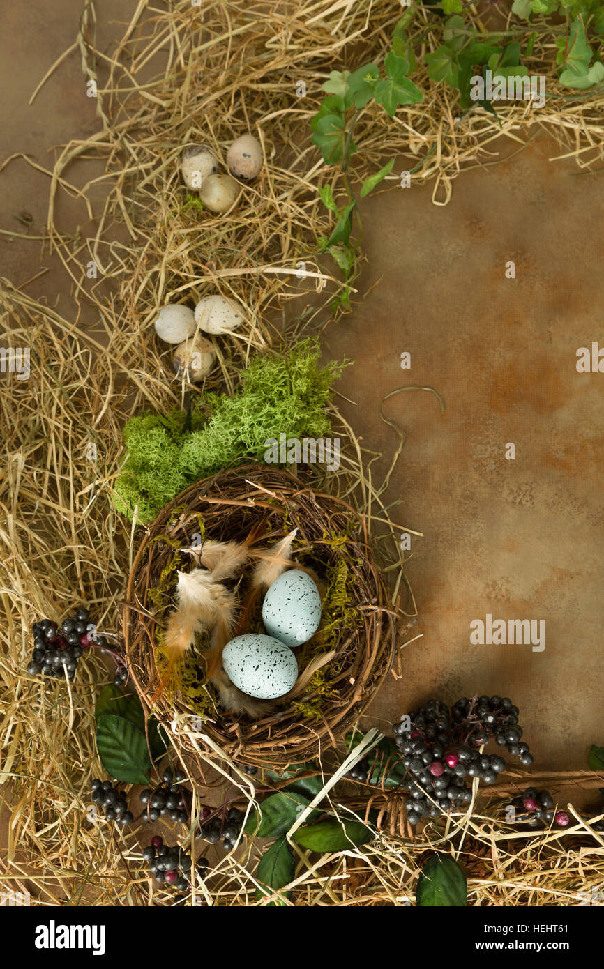 Border frame image made of berries, spring leaves and a bird's nest ...