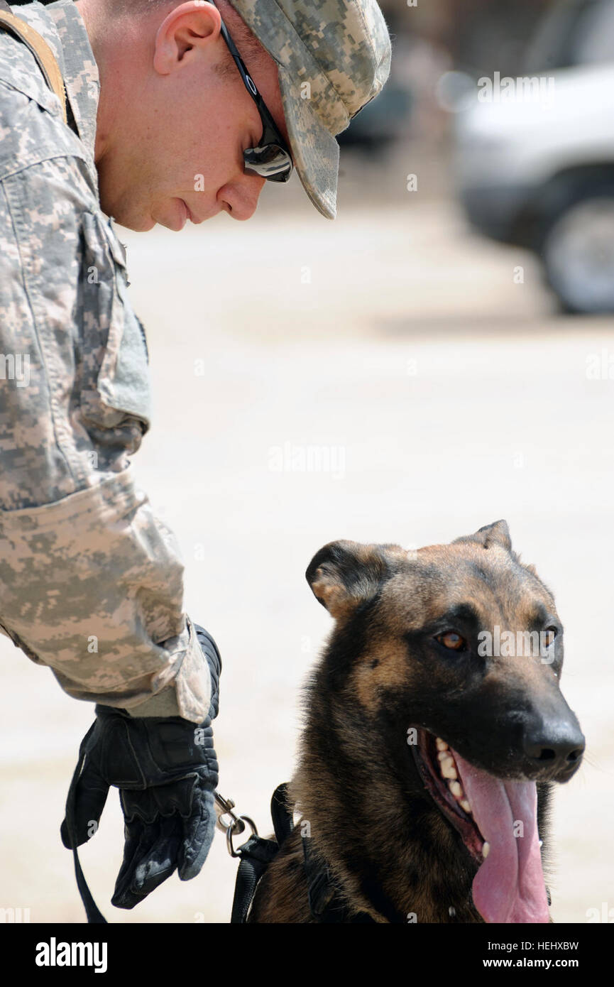 U s army dog handlers hi-res stock photography and images - Alamy