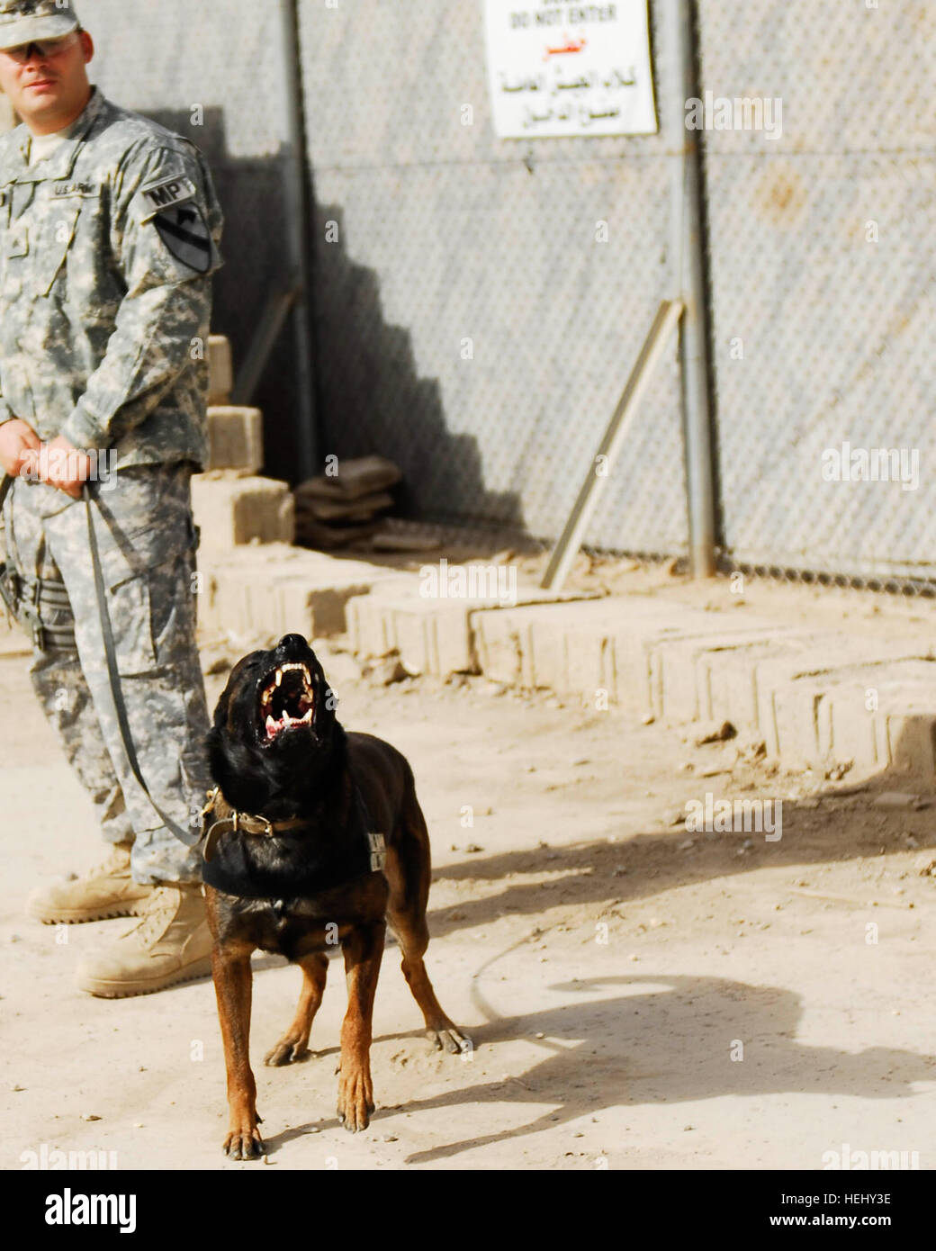 Sgt. James Harrington, with a military police K-9 section attached to ...