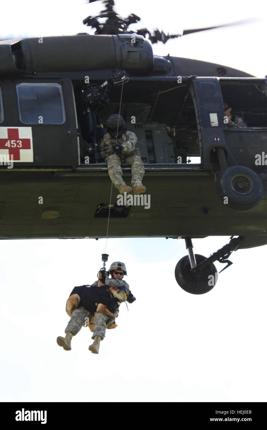 Staff Sgt. Carlos Paniagua, Patrol and Explosives Detection Dog Handler ...