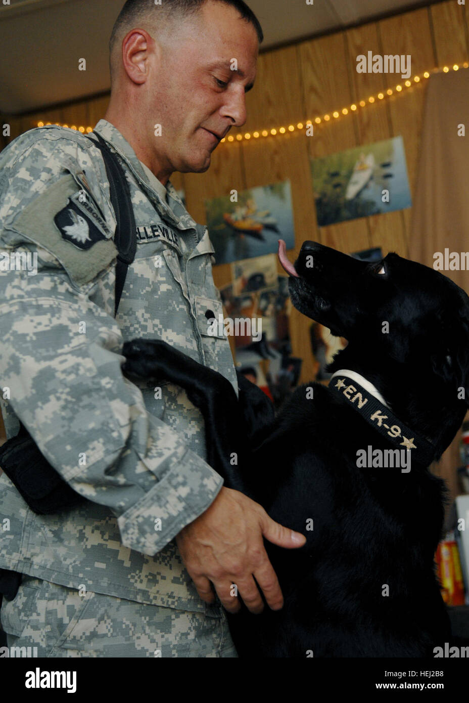 Army and canine division hi-res stock photography and images - Alamy