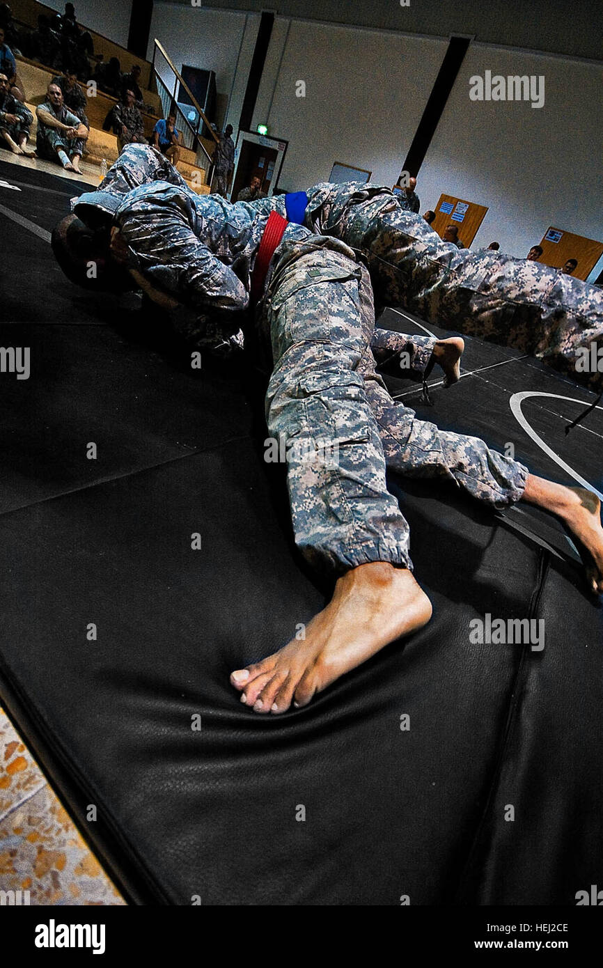 615th aviation support battalion 1st air cavalry brigade hi-res stock ...