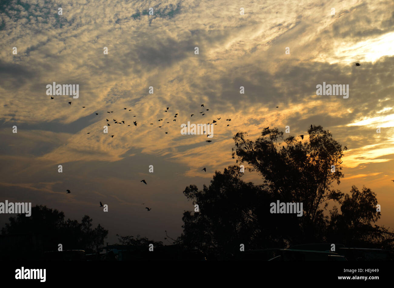 Lahore, Pakistan. 21st Dec, 2016. An attractive and eye catching view ...