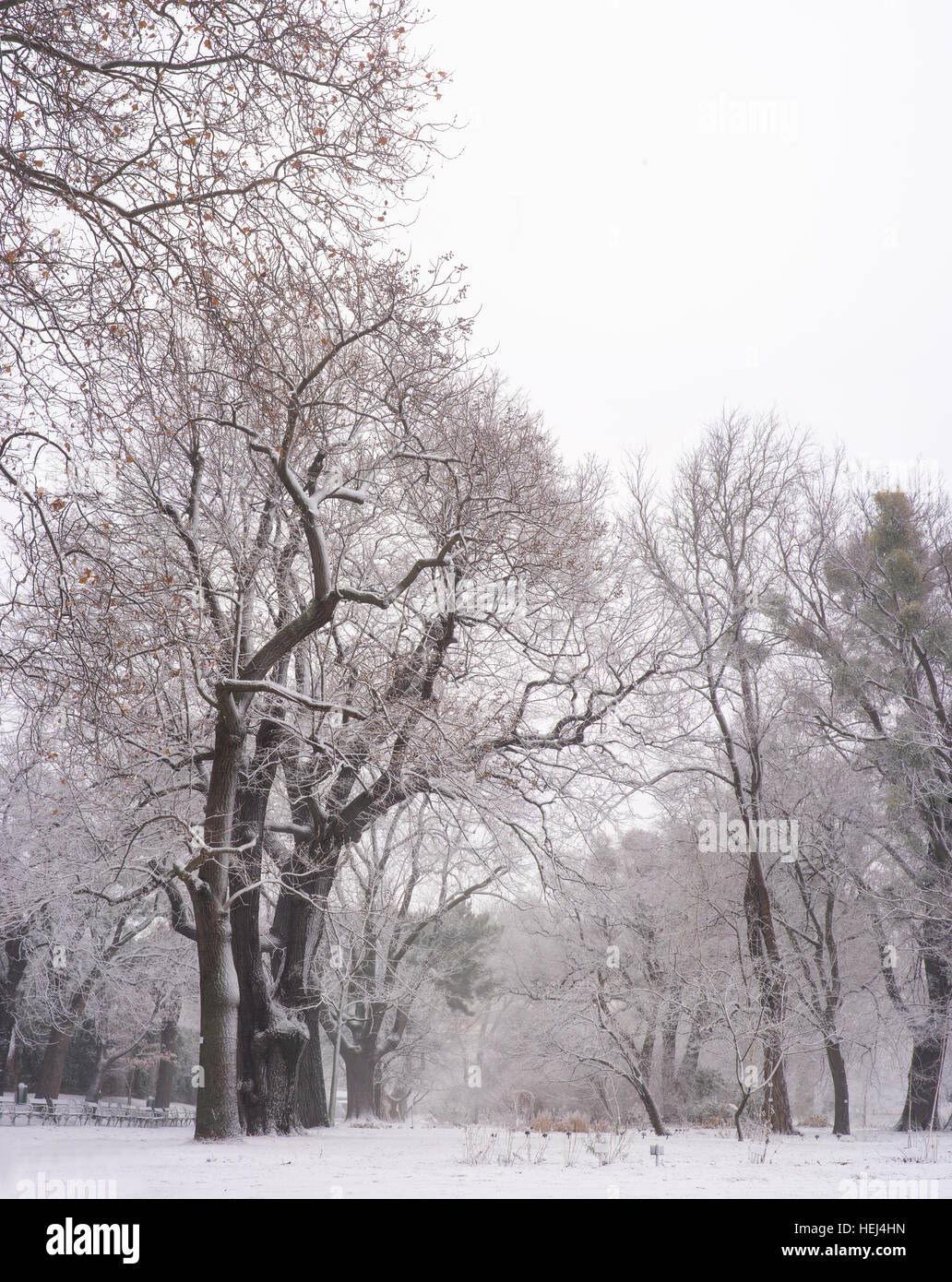 Nature in Vienna Botanical Garden in Austria Stock Photo - Alamy