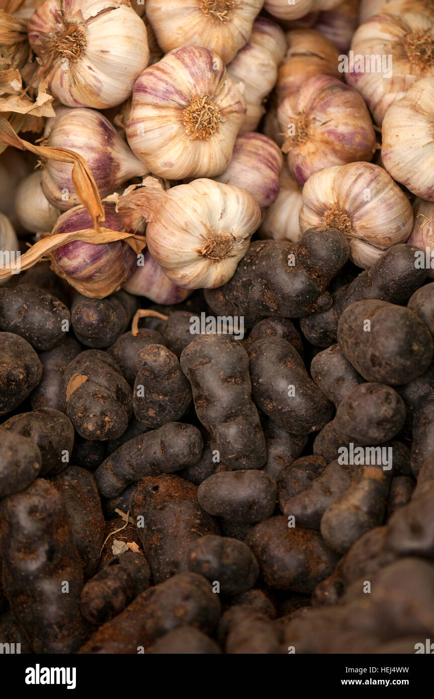 Black potatoes hi-res stock photography and images - Alamy