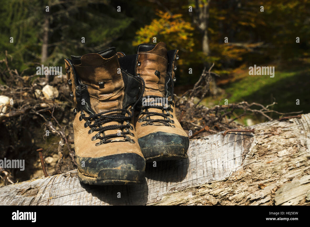 Old shoes on a cut tree Stock Photo - Alamy