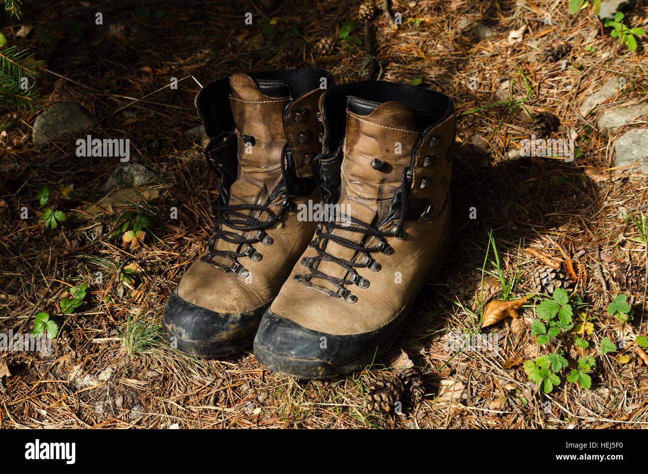 Old shoes on pine hi-res stock photography and images - Alamy