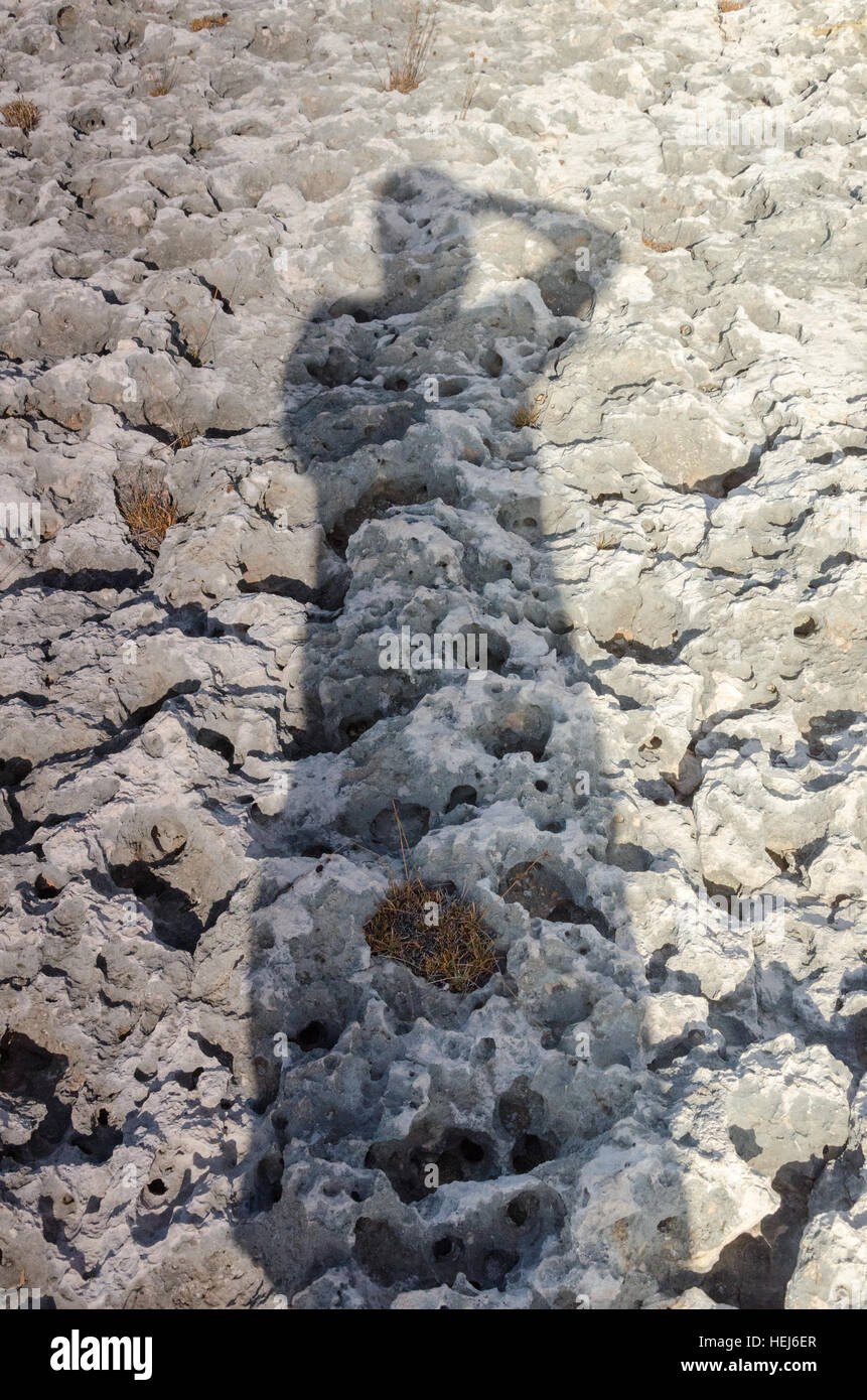 Dry and arid desert landscape with rocks and native plants in Aruba ...
