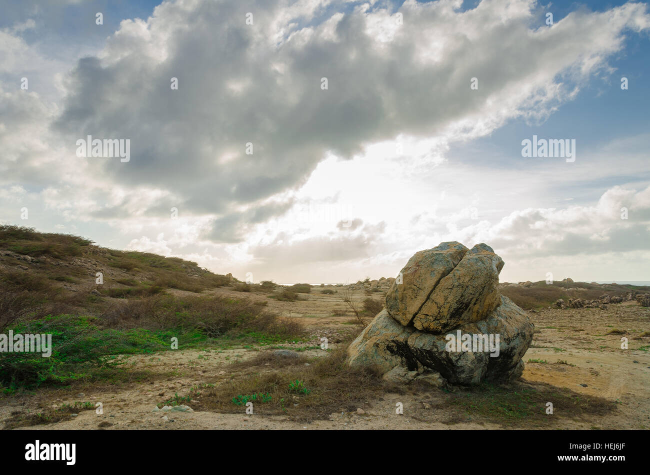 Dry and arid desert landscape with rocks and native plants in Aruba ...