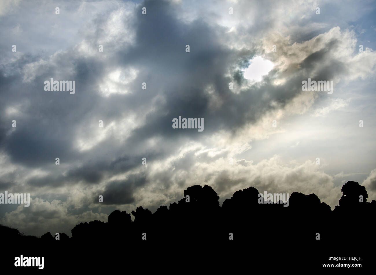 Native plants aruba hi-res stock photography and images - Alamy