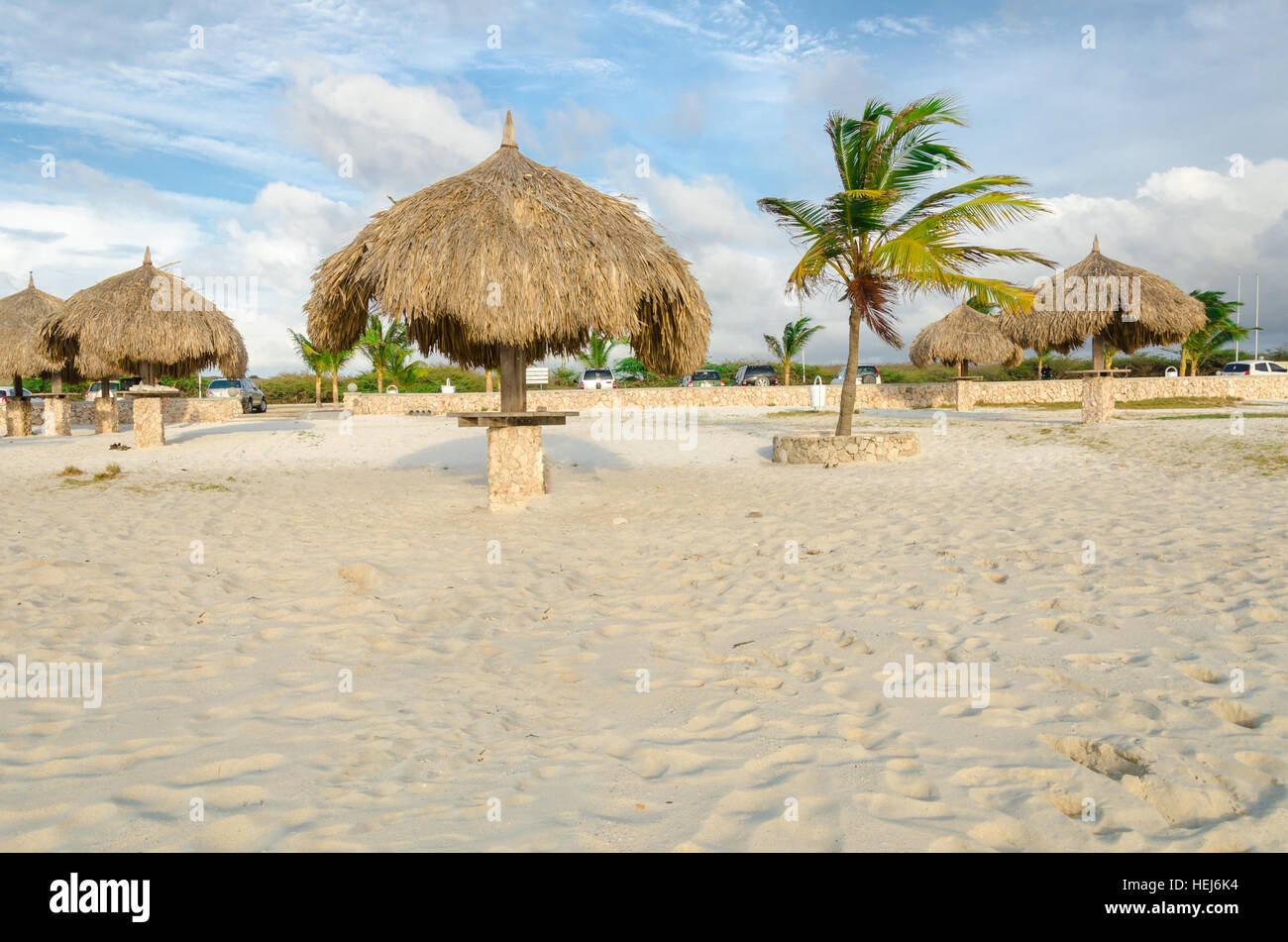 Rest area with Palm trees by the beach in Aruba Island Stock Photo - Alamy