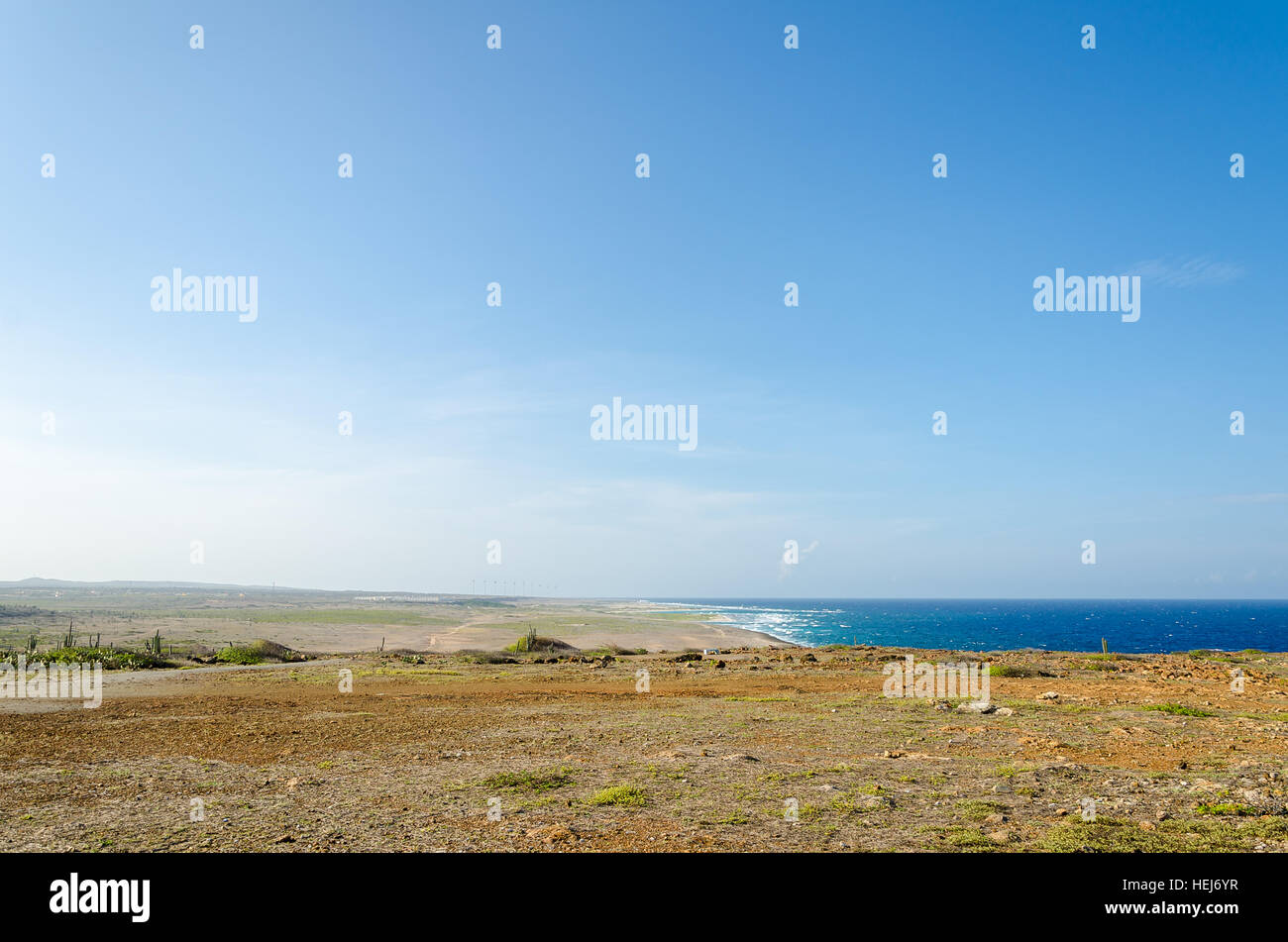 Native plants aruba hi-res stock photography and images - Alamy