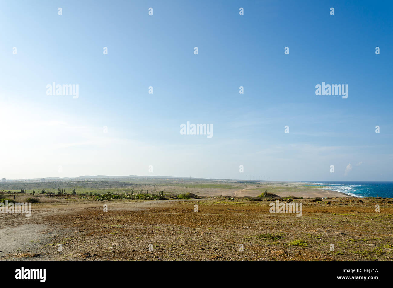 Native plants aruba hi-res stock photography and images - Alamy