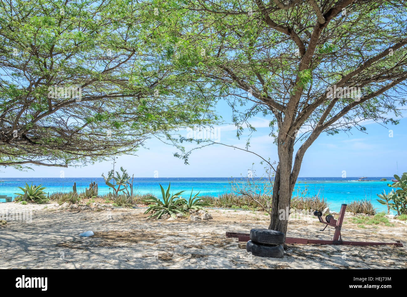 Amazing view of the Mangel Halto beach in Aruba, a caribbean paradise ...