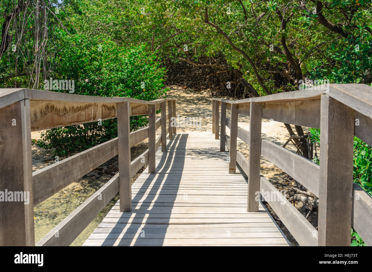 Amazing view of the Mangel Halto beach in Aruba, a caribbean paradise ...
