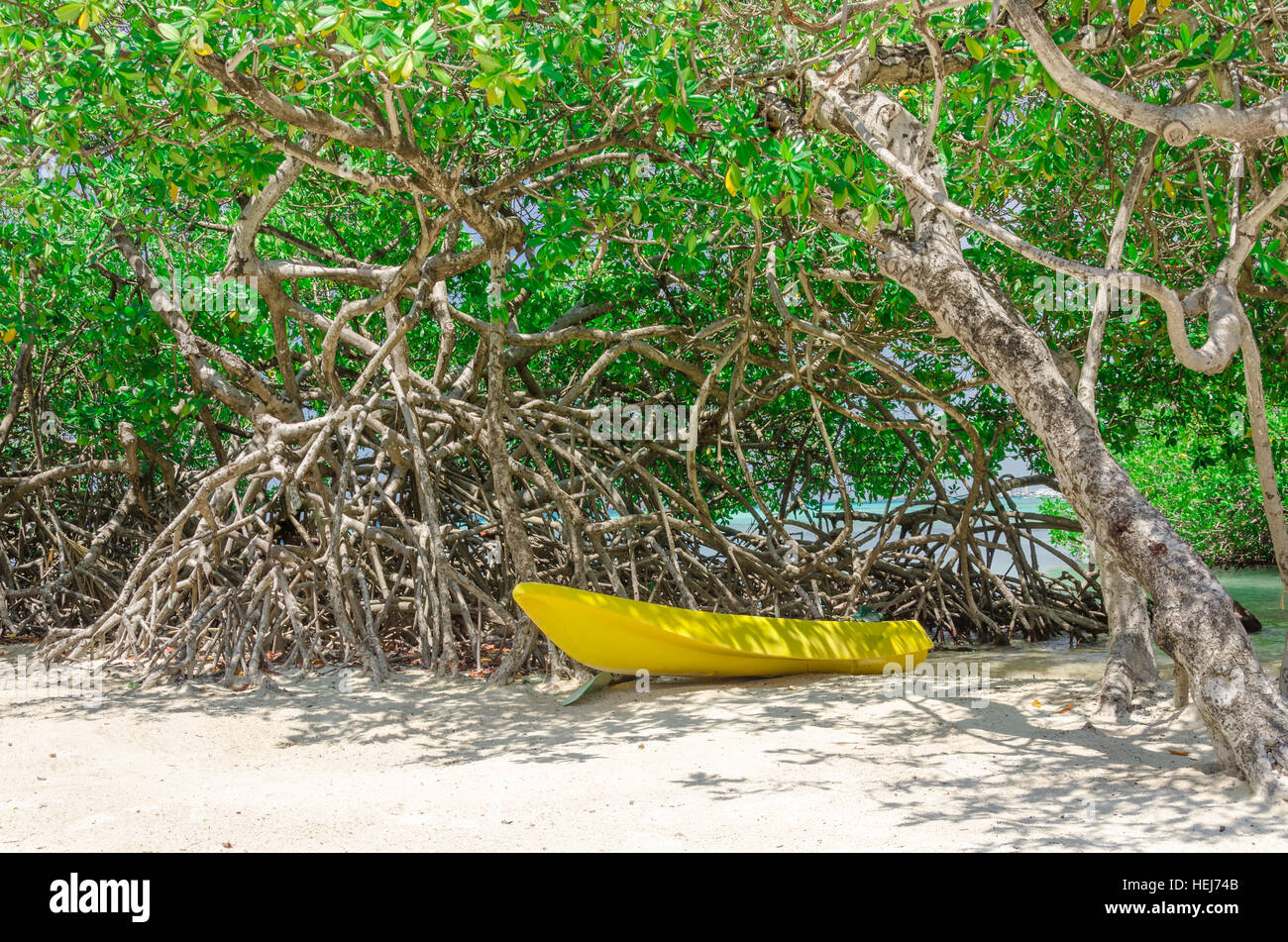Kayaks at the Mangel Halto beach in Aruba, a caribbean paradise Island ...