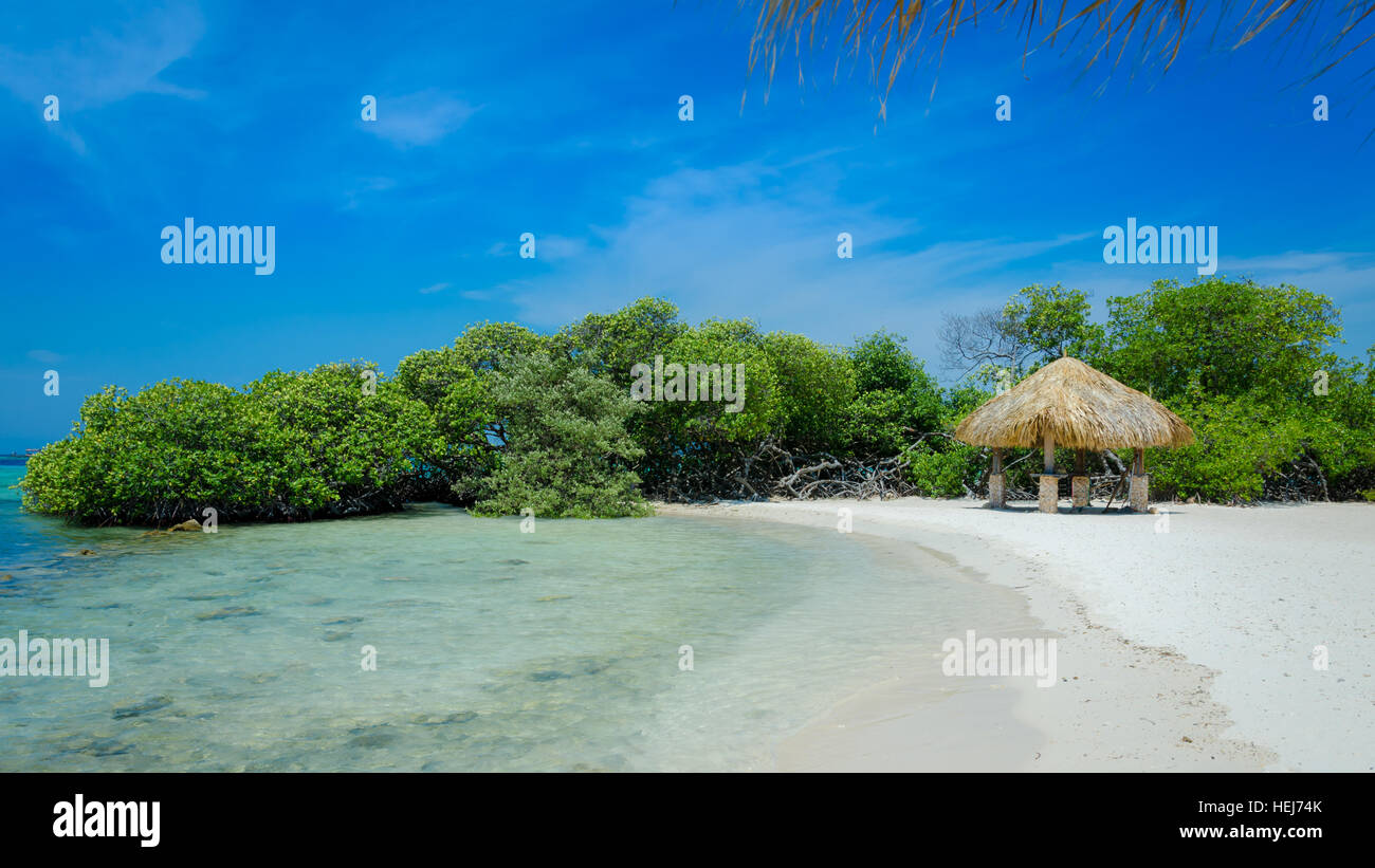 Looking through the mangrove trees in Mangel Halto beach in Aruba Stock ...