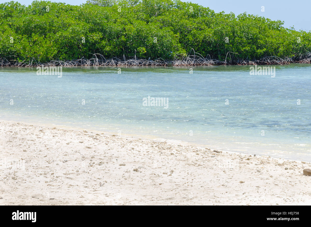Amazing view of the Mangel Halto beach in Aruba, a caribbean paradise ...