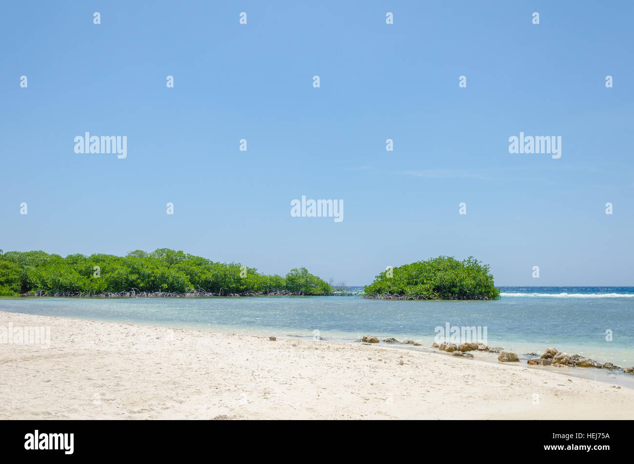 Amazing view of the Mangel Halto beach in Aruba, a caribbean paradise ...