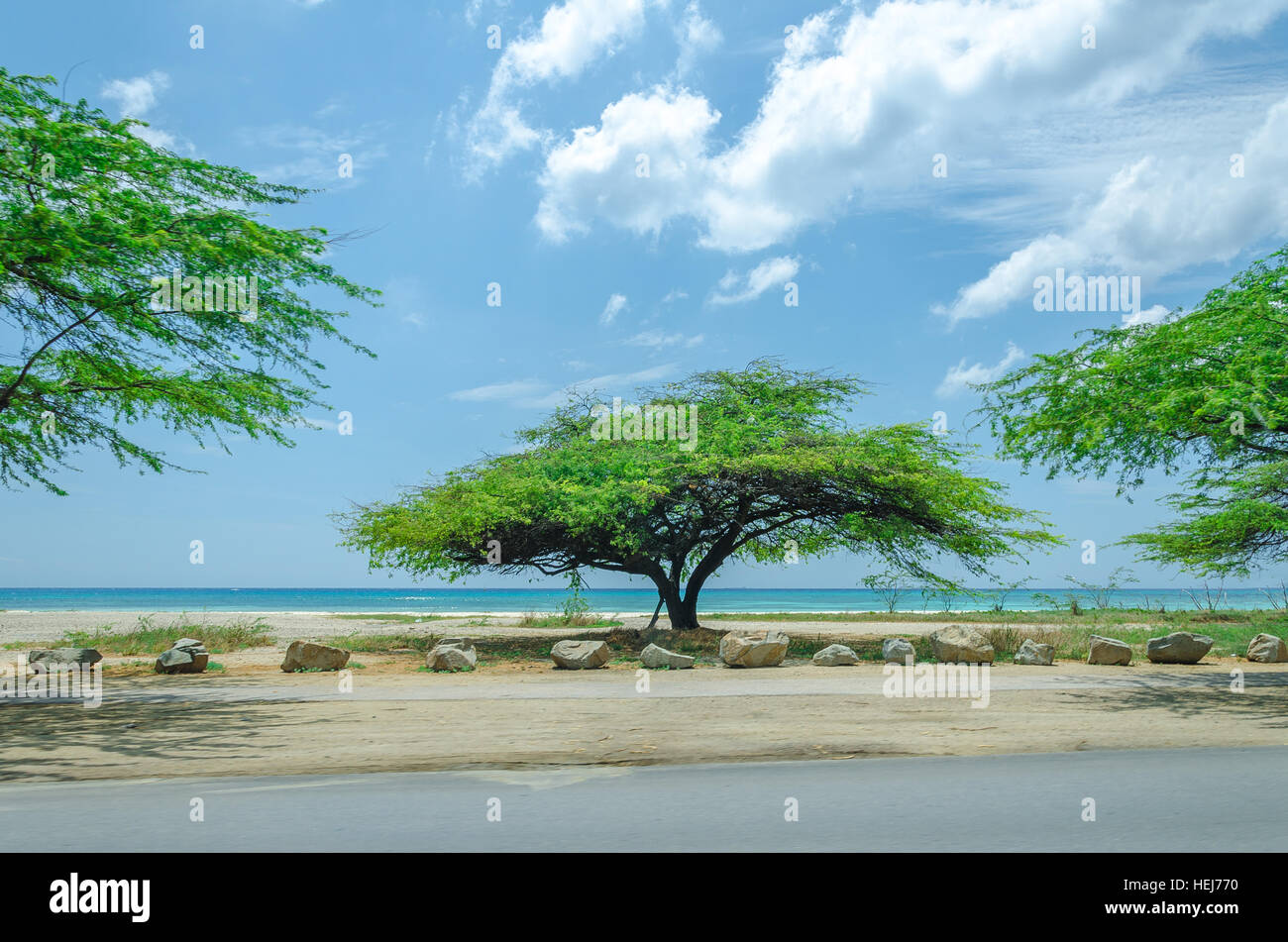 Amazing view of the Mangel Halto beach in Aruba, a caribbean paradise ...
