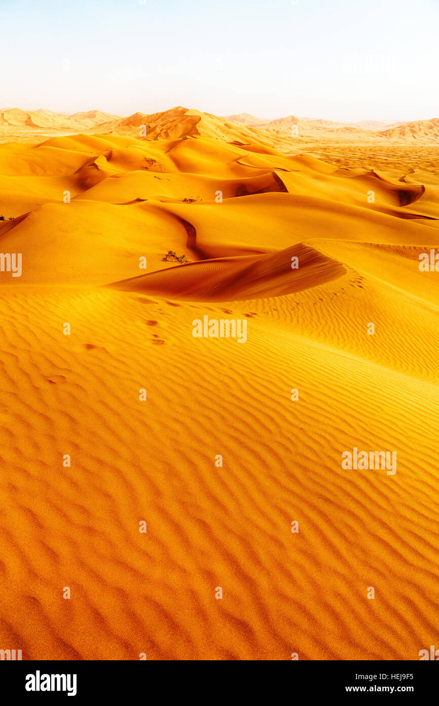 the empty quarter and outdoor sand dune in oman old desert rub al khali ...