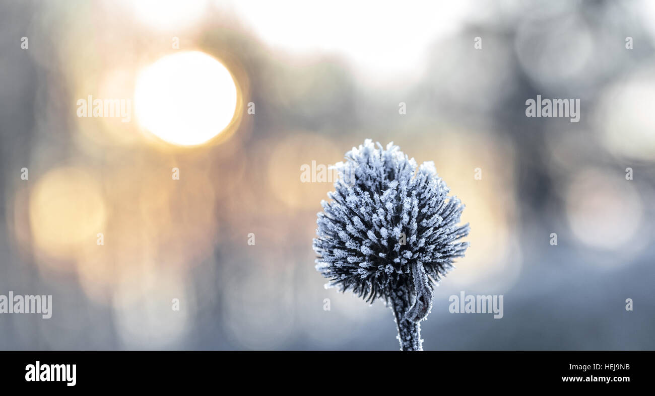 Faint sun hi-res stock photography and images - Alamy