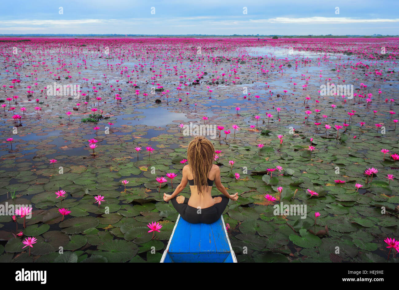 serenity and yoga practicing on the Red Lotus Sea,Thailand Stock Photo ...