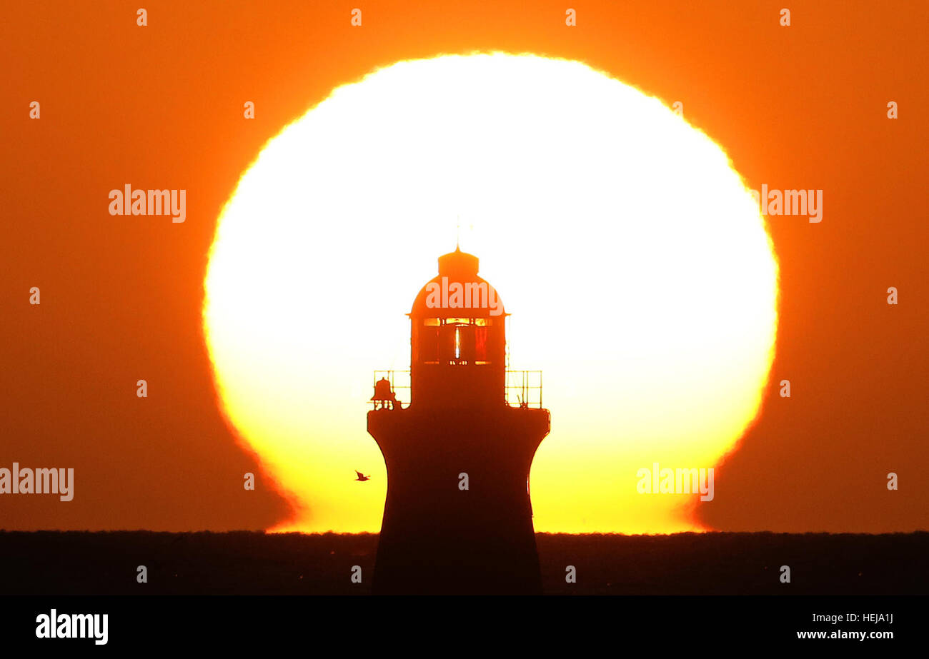 Barbara shields hi-res stock photography and images - Alamy